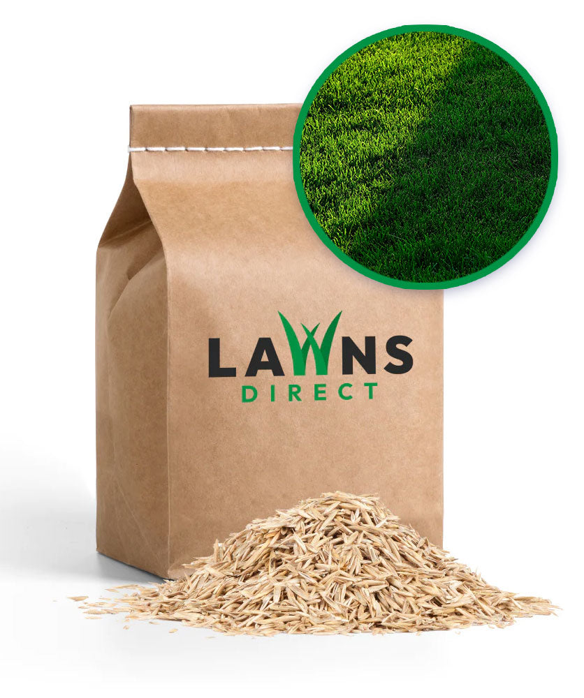 ProGrass™ Professional Shaded Area High Tolerance Grass Seed Mix ...