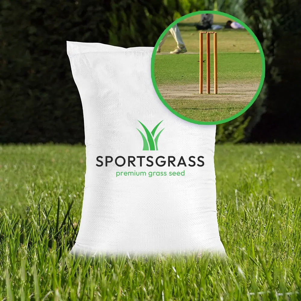 SportsGrass™ Professional Cricket Wicket Grass Seed Mix | Lawns Direct